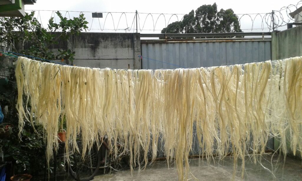 Las artesanías de cabuya del guarco de cartago - CraftEncyclopedia